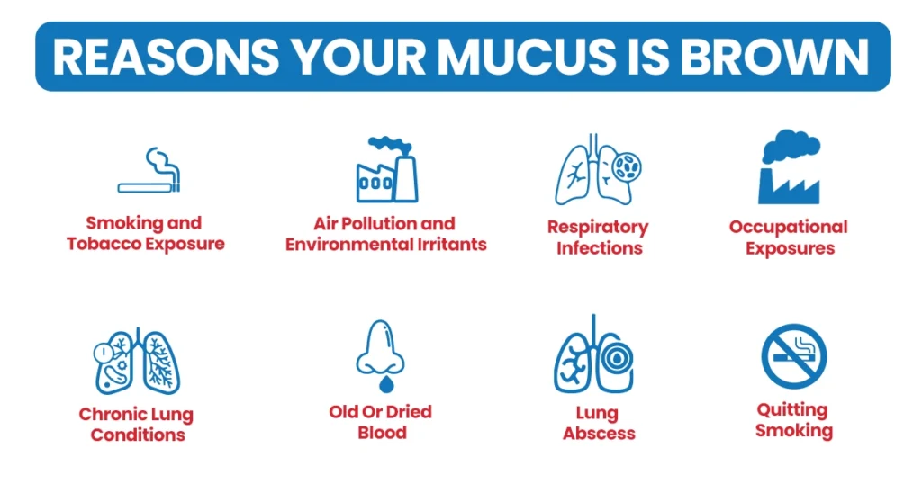 Why Is My Mucus Brown? Causes & Preventions
